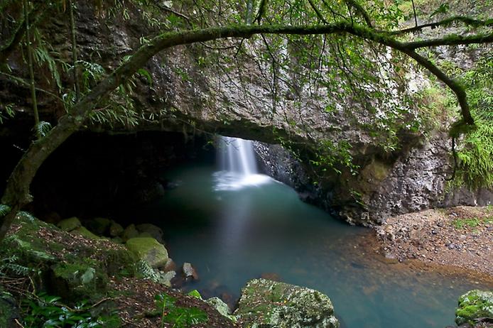 Springbrook National Park, Australia (with Map & Photos)