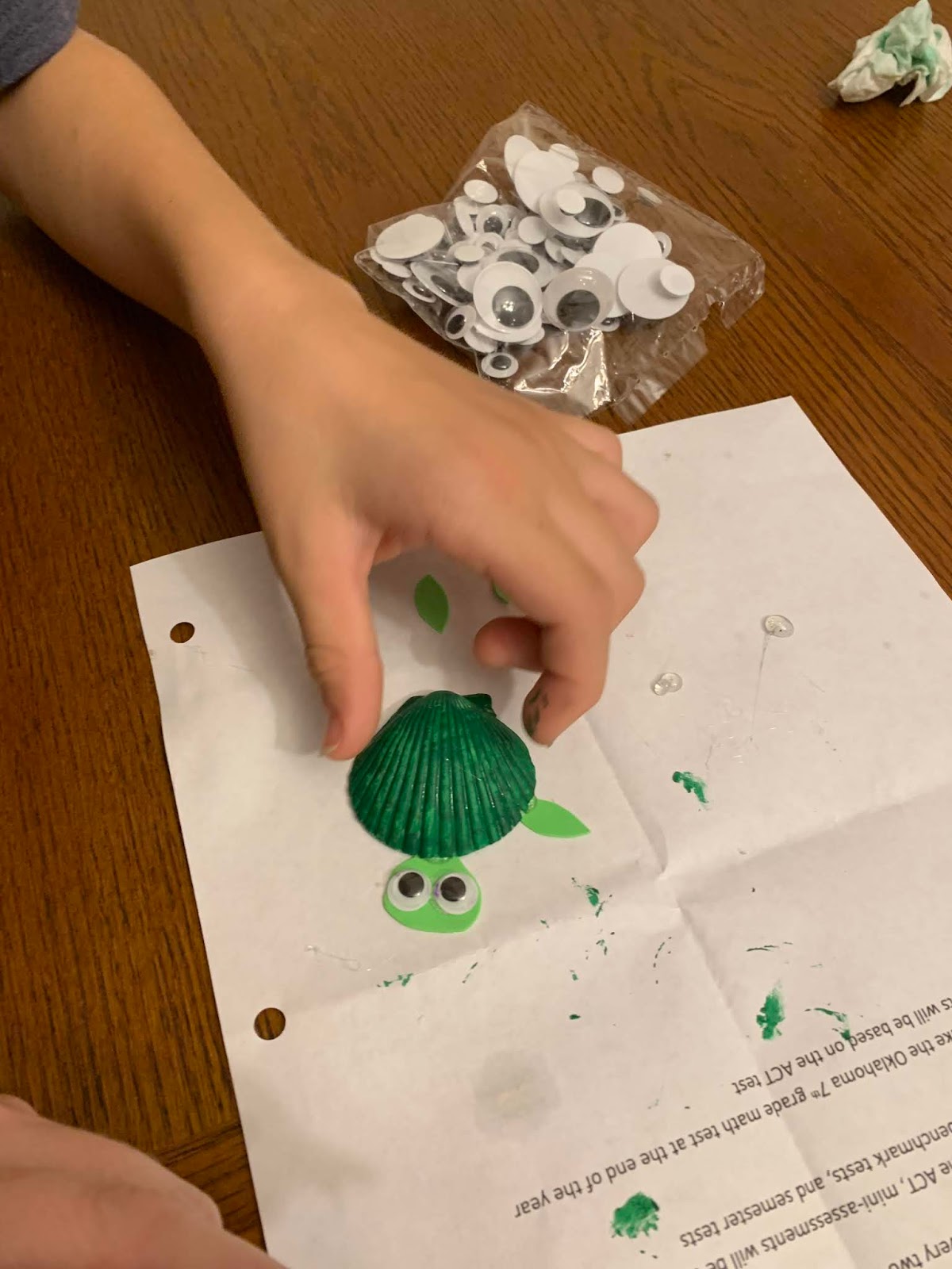 What I Live For: Sea Shell Turtle Craft