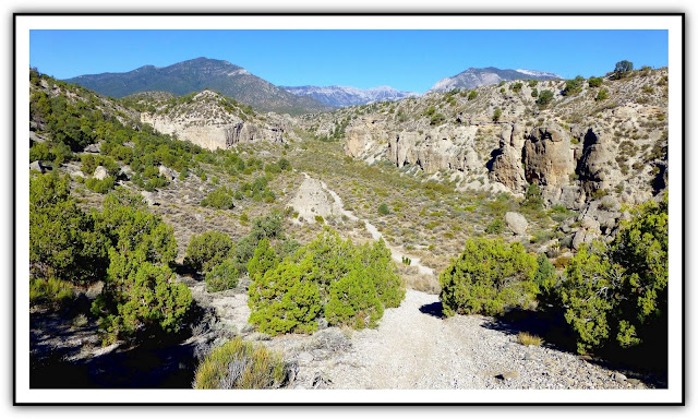 Ken's Photo Gallery: Kyle Canyon Slots - Summary Page