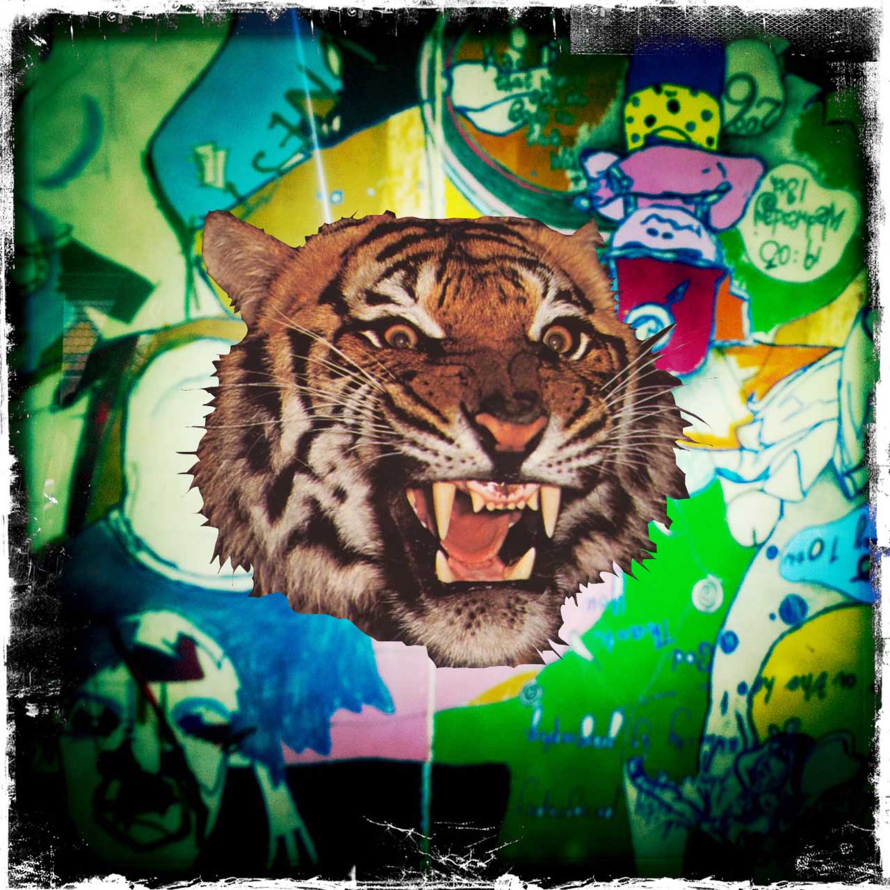 The Infinite Cat: More Infinite Cat drawings