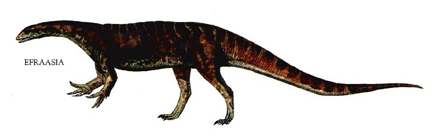 Extinct Animal of the Week: June 2017