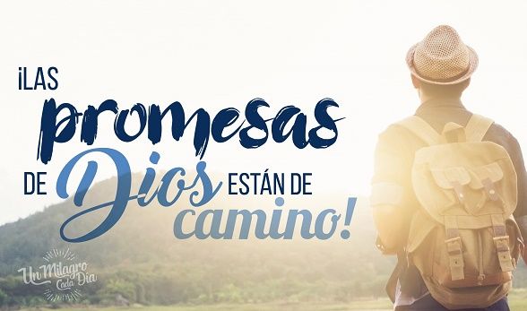 Las Promesas de Dios En La Biblia: ¿Cuáles Son? ¿Están Vigentes Para Mi?