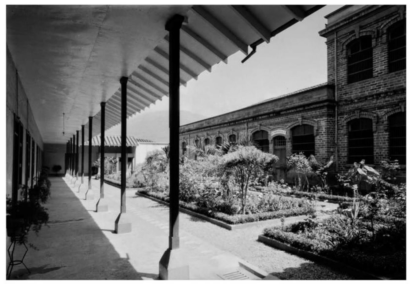 Crónicas, periodismo y literatura: Crónica: Los fantasmas del manicomio ...