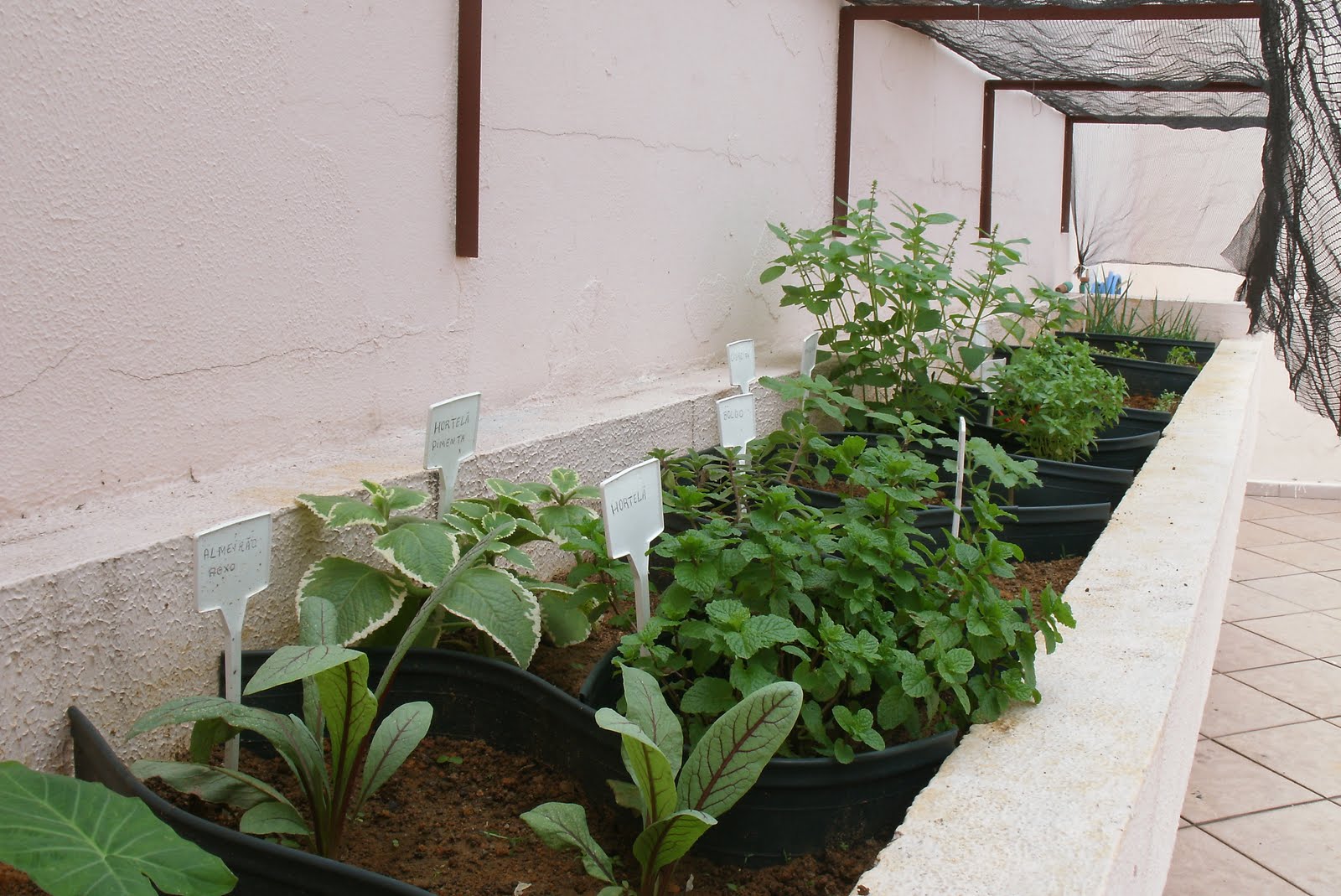 Hortas ...um jeito simples de fazer