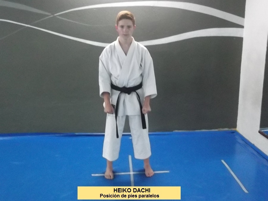 KARATE SHITO RYU ASTURIAS: Posiciones de Karate (Tachi Kata).