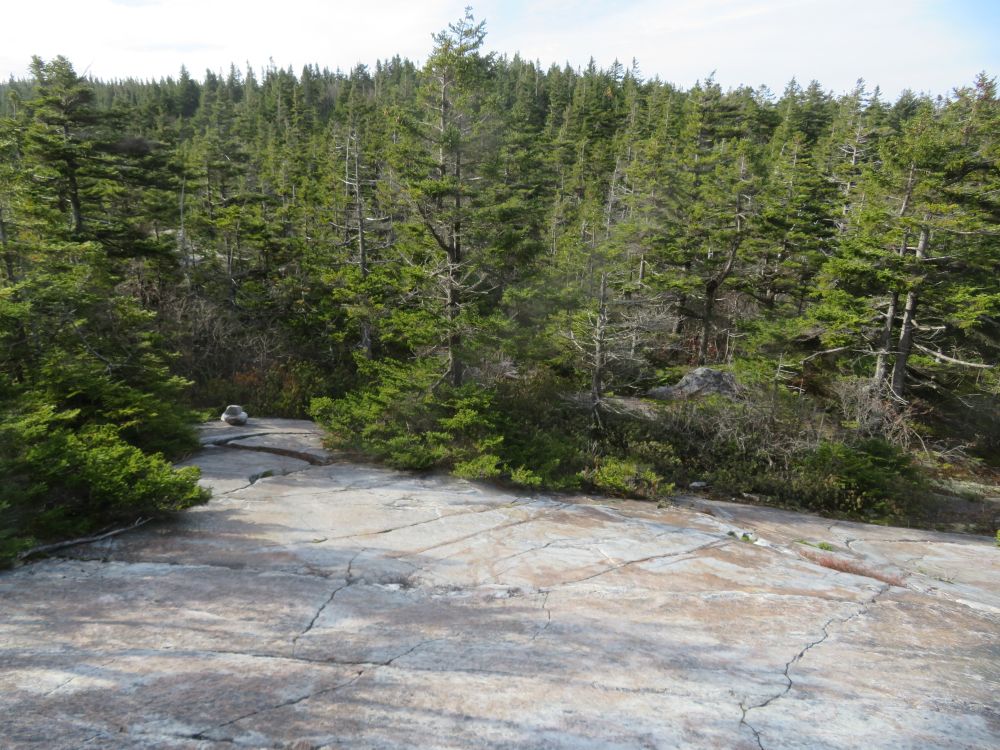 Outdoor Diversion: Mount Cube via Cross Rivendell Trail