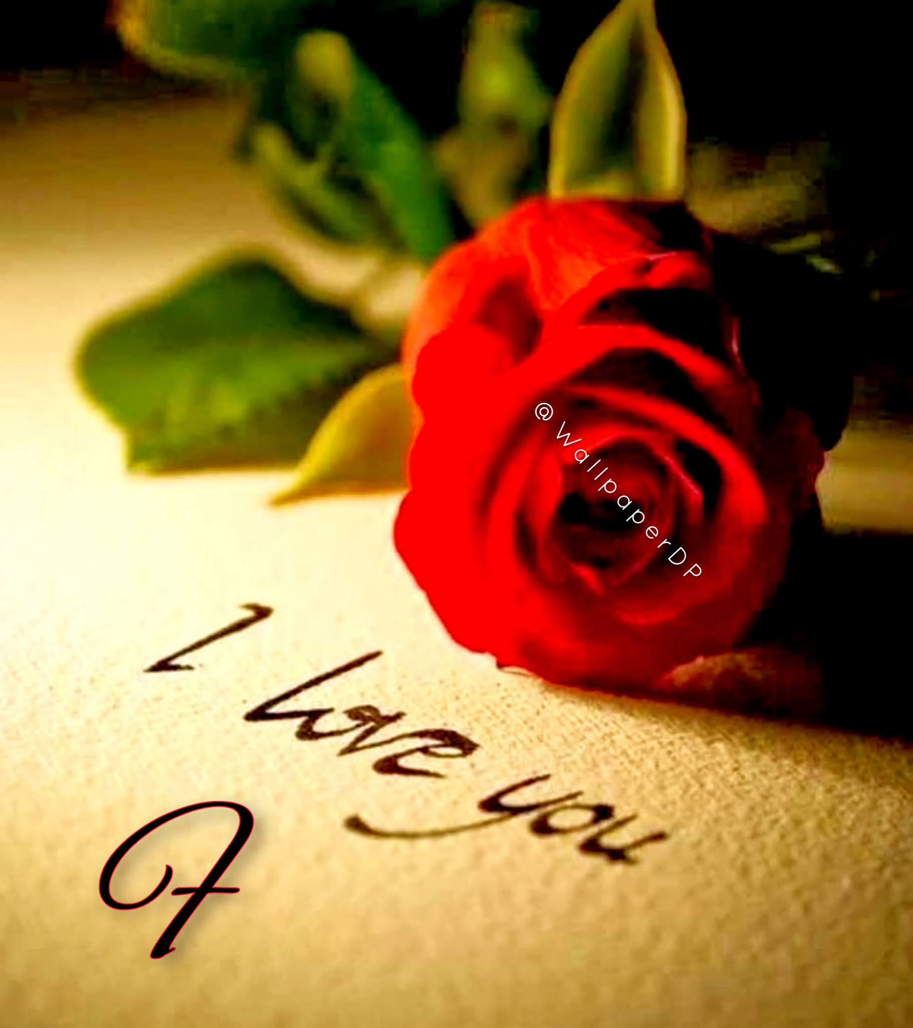 Whatsapp Dp Alphabet A to Z with Red Rose for Lovers I Love You ...