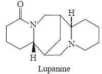 Quinolizidine Alkaloids