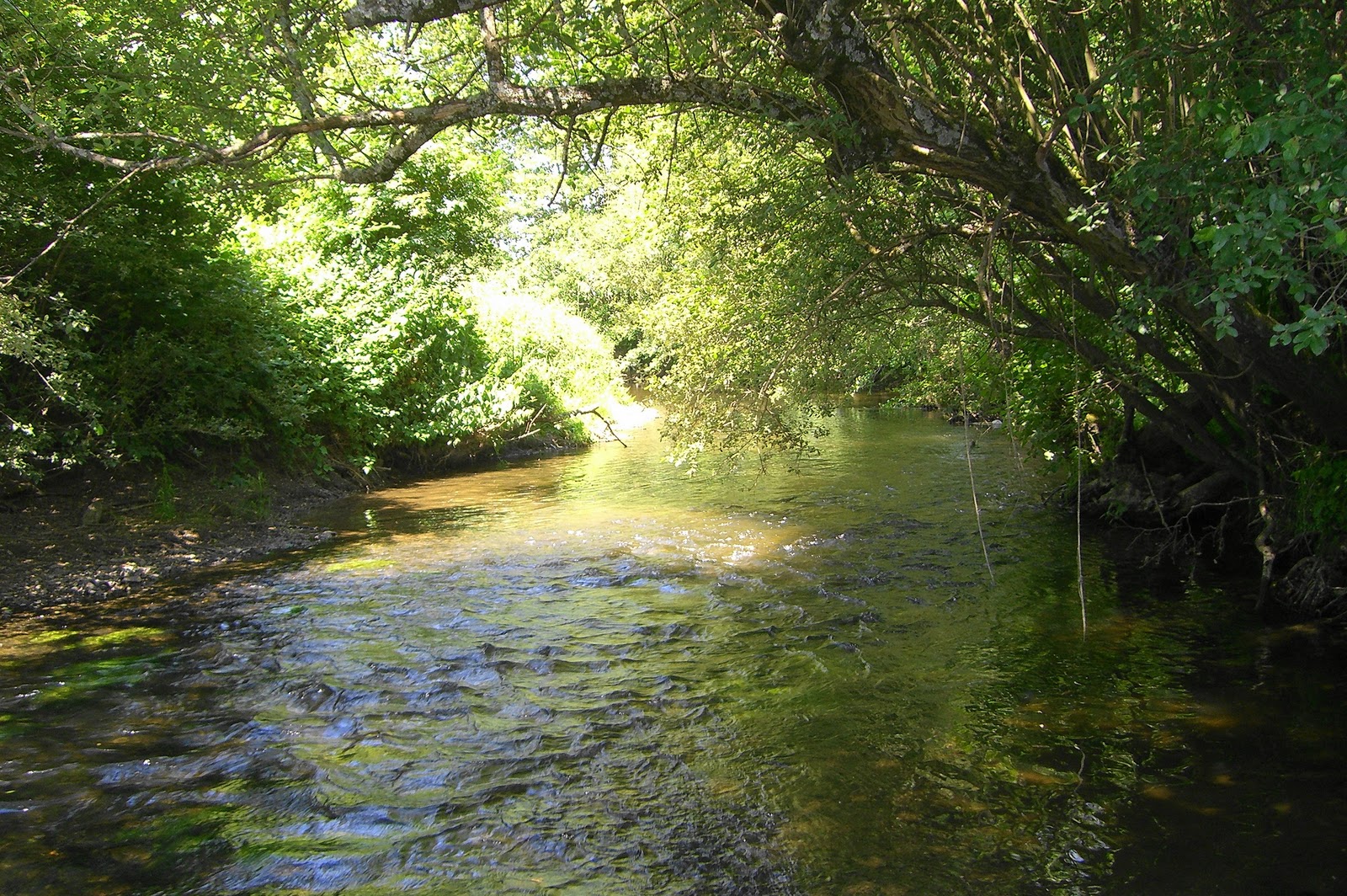SAKUJADE: PAYSAGES de CARTES POSTALES à BRECEY ( NORMANDIE )