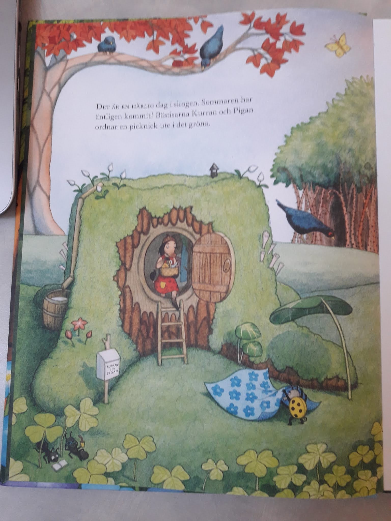 Boken "Kurran och Pigan räddar en liten"