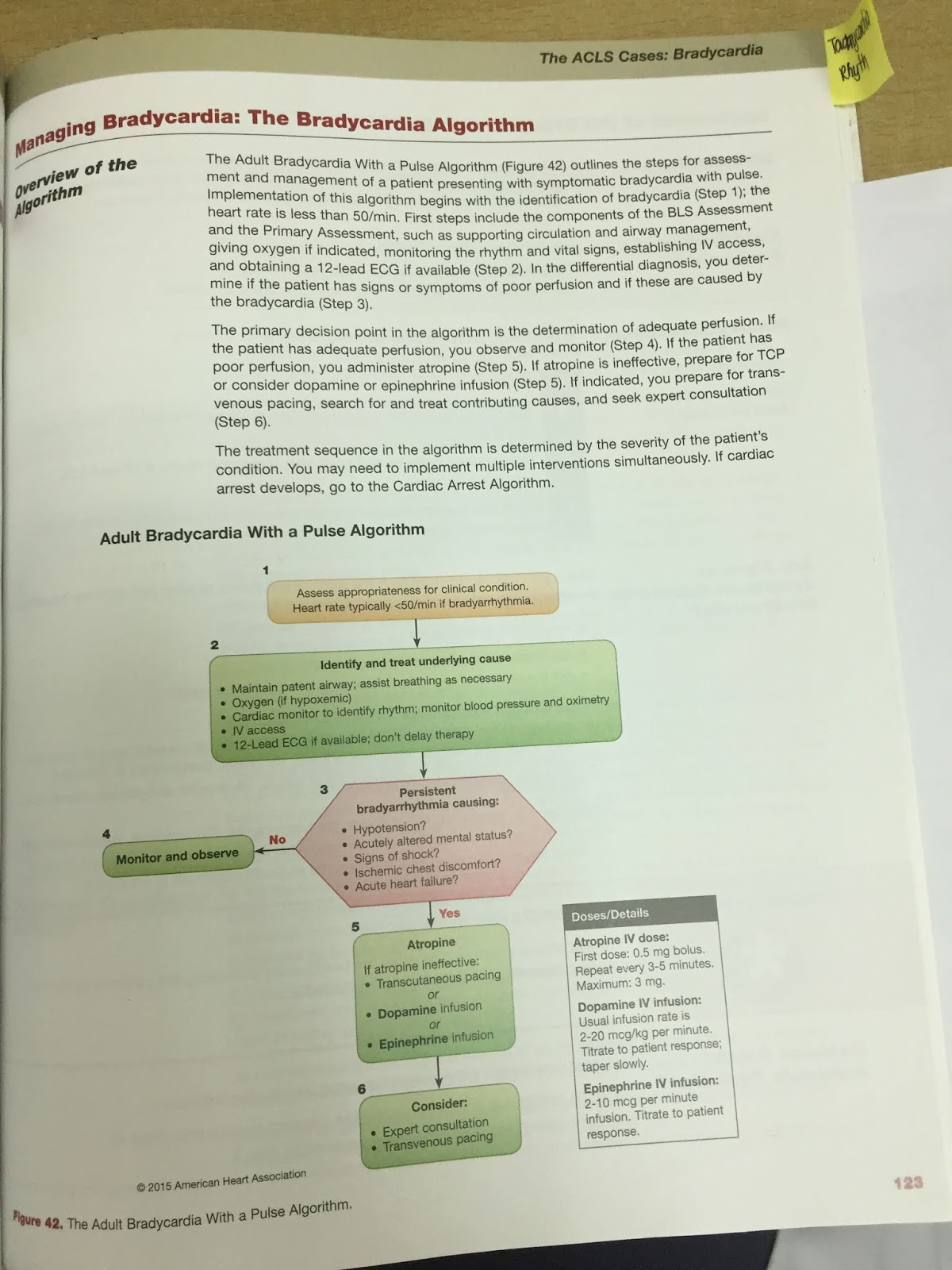 ACLS CHAPTER 5(ACLS CASES -MAIN CHAPTER OF ACLS)