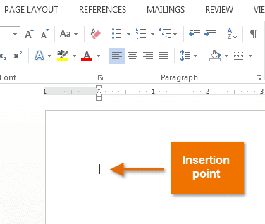 Information technology : Insertion point in MS Word