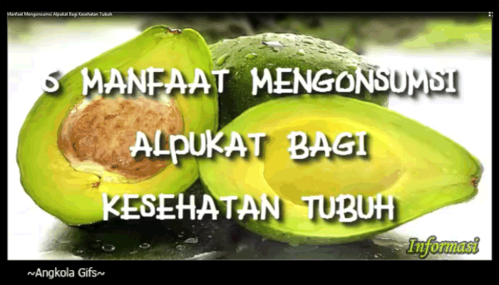 Galeri Pertanian / Perkebunan / Perikanan: Manfaat Apokat atau buah Alpukat