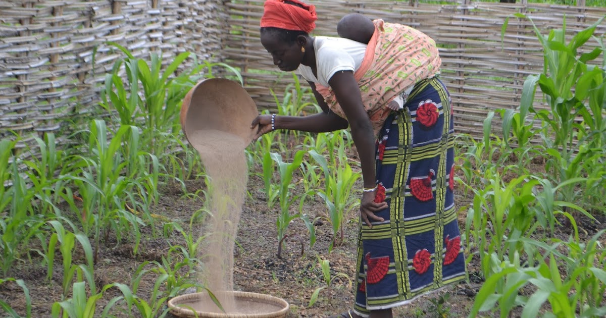 MochilAndo por el Mundo: Viaje a Senegal y Gambia (Jul/16) Parte II