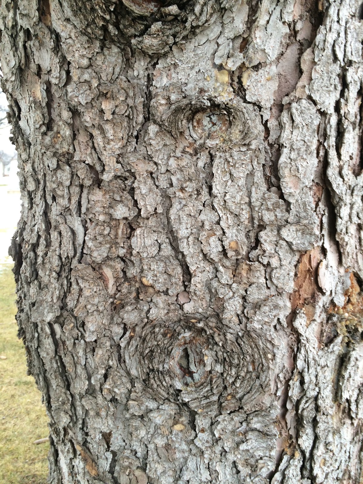 Mr. Roso's Art Projects: Elements and Principles of Art