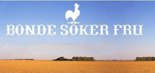 Thildes blogg: Bonde söker fru -återblick