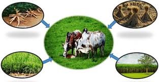 Now Is The Time For You To Know The Truth About Concentrate And ...