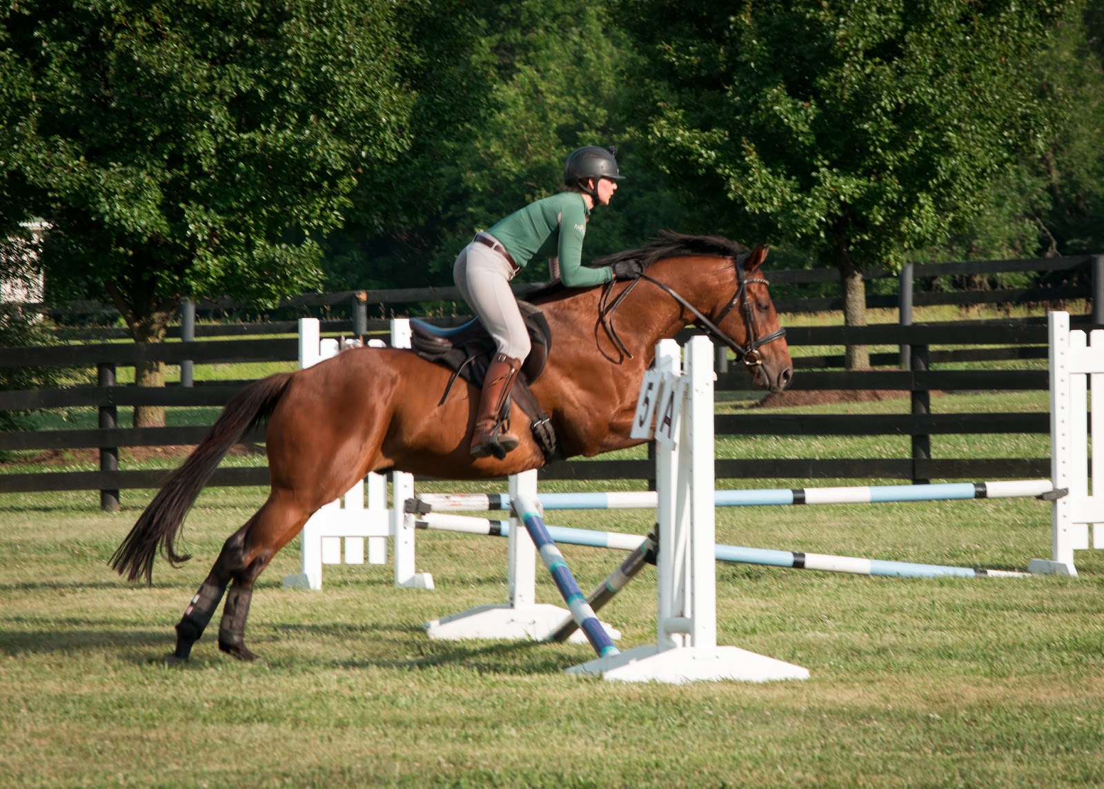 The Tiniest Greenest Jumper Course