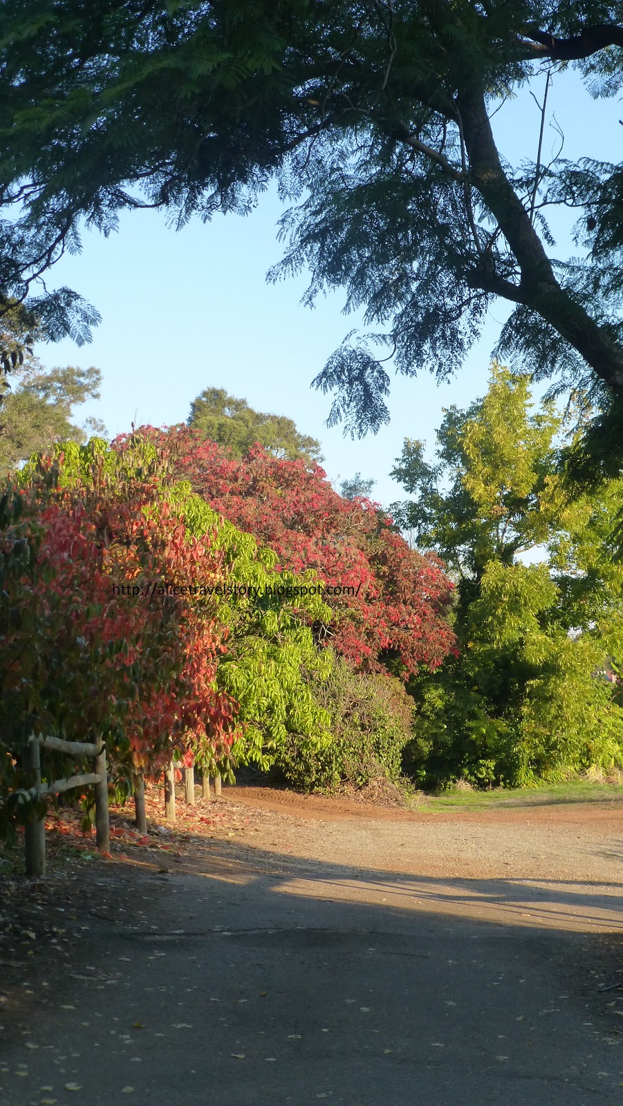 Alice Travelogue: Perth, Western Australia Trip 2019 - Day 6 ...