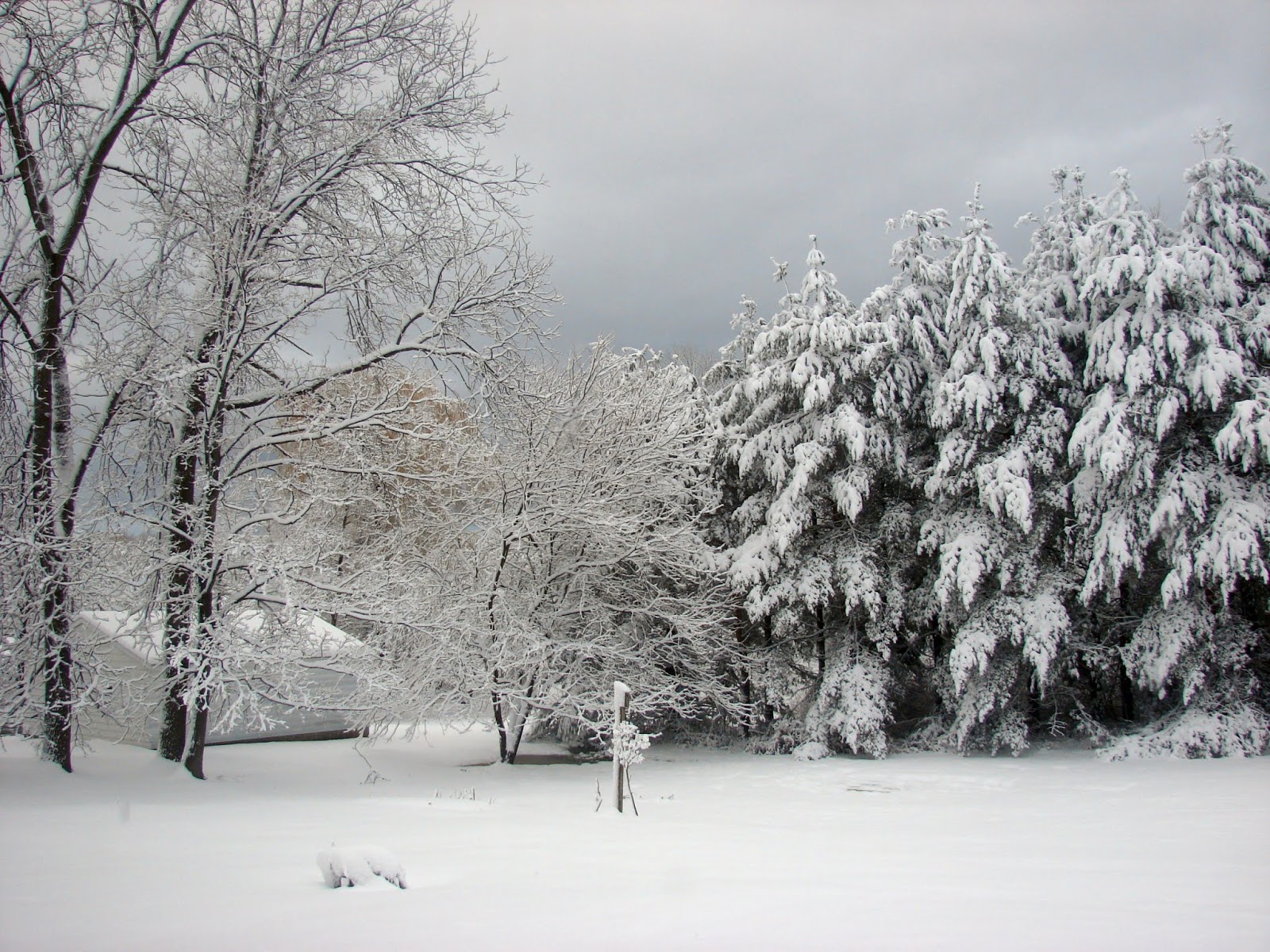 Sandra Scott's Travel Columns: Snow Fun in Upstate New York
