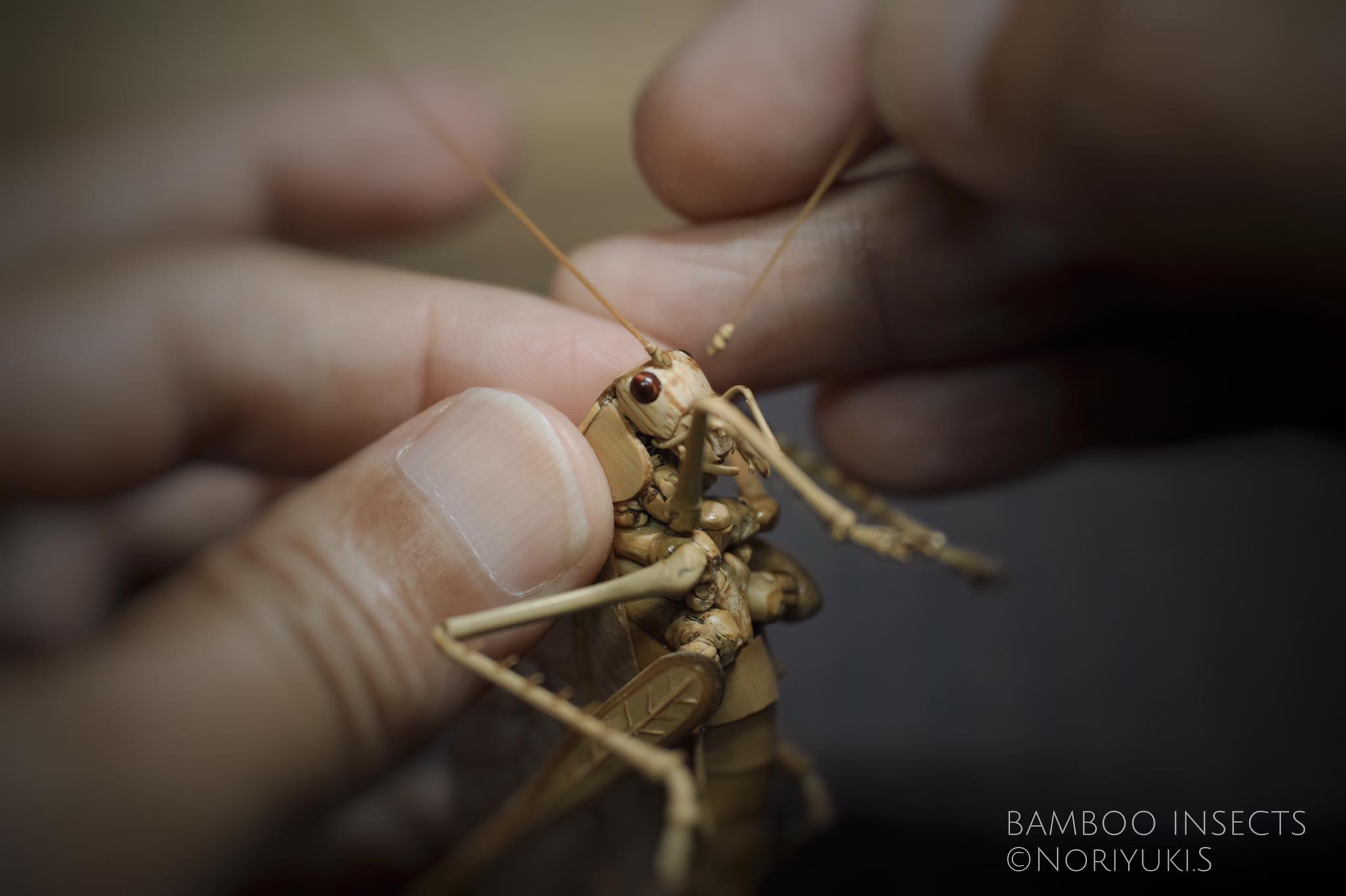 This artist turns bamboo into delicately crafted insect sculptures
