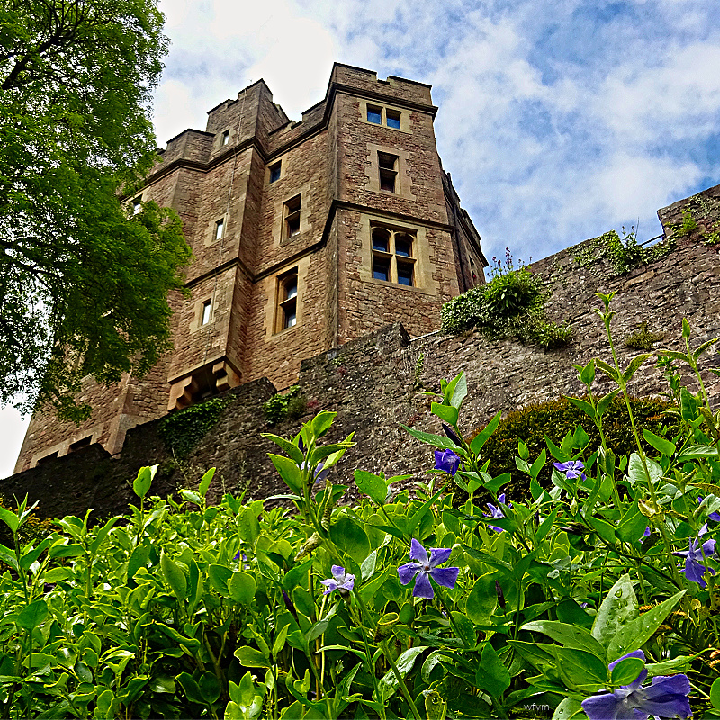 Where Five Valleys Meet: Dunster Castle
