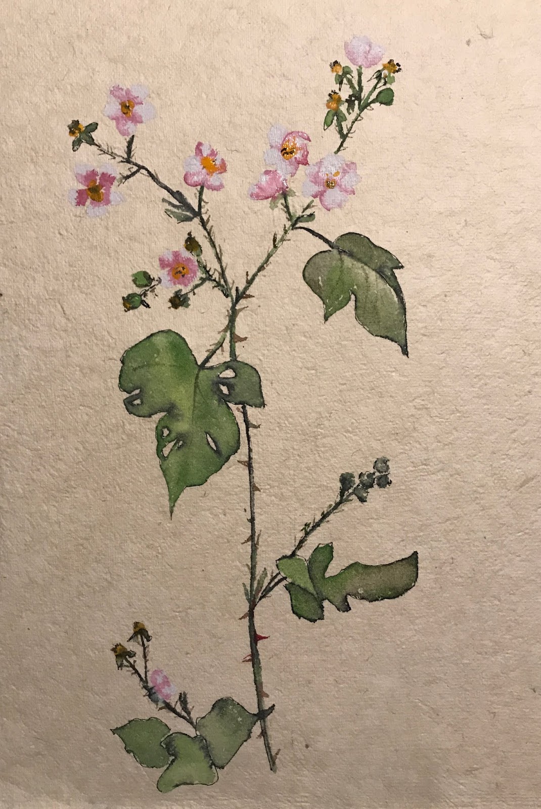 Painting and Drawing Diary: Friday, 12th July 2019 - Bramble Flowers ...