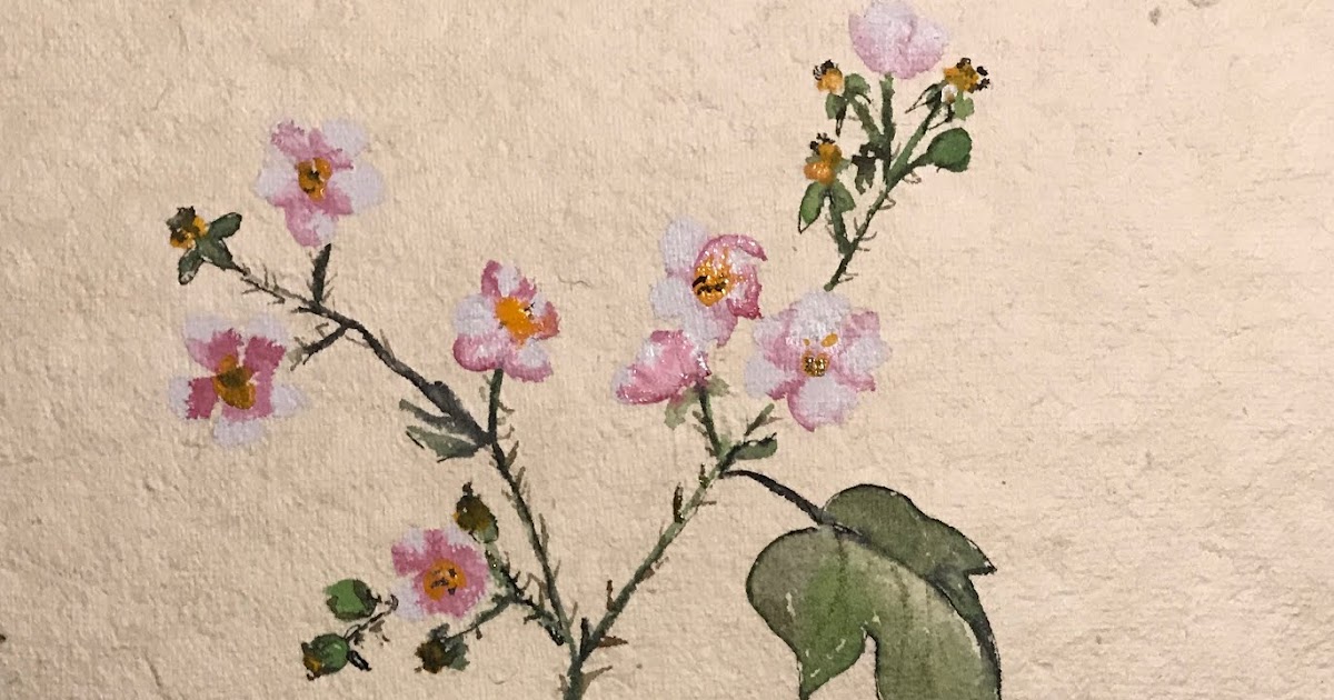Painting and Drawing Diary: Friday, 12th July 2019 - Bramble Flowers ...