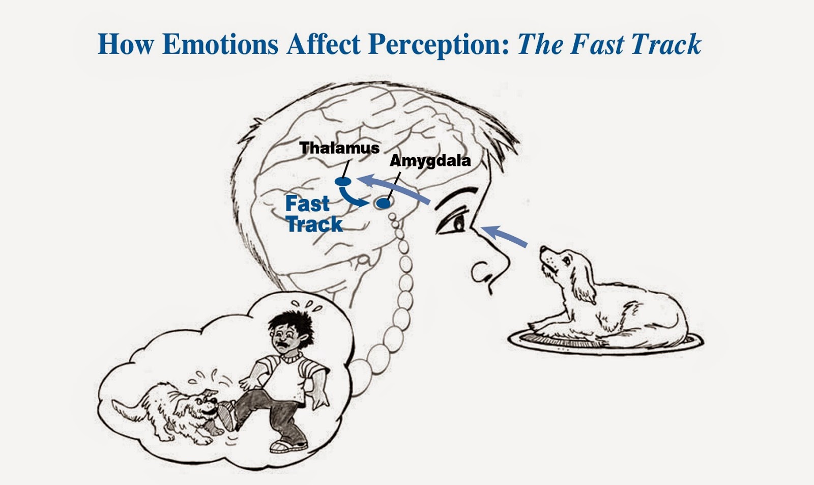 Happiness and Health : Evolution and Purpose of Emotions