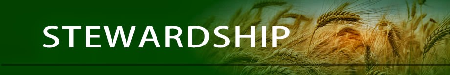 ARTICLE: THE COMPETENCE AND ATTITUDE OF STEWARDSHIP | PENSA CENTRAL SECTOR