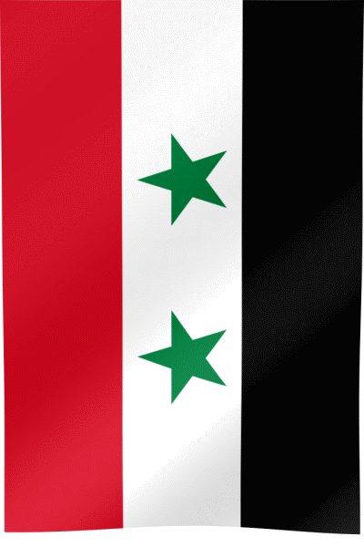 Flag of Syria (GIF) - All Waving Flags