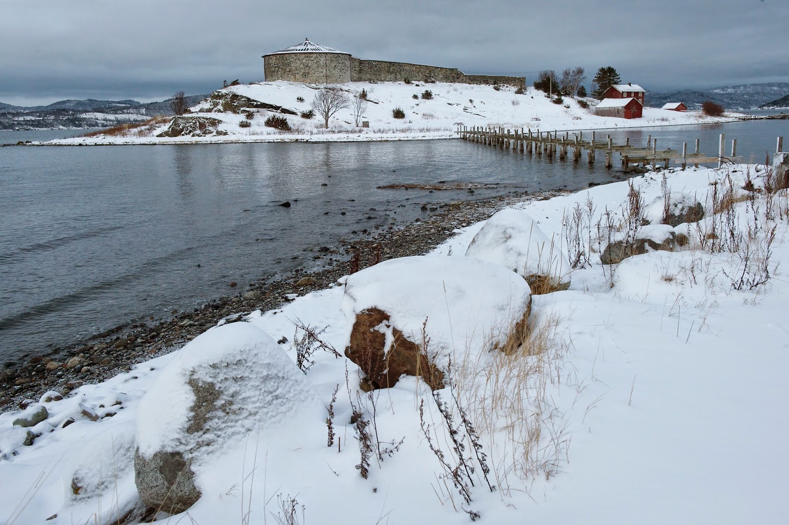 Naturfoto Einar Hugnes: Sidensvans, fjæreplytt, skjærpiplerke ...