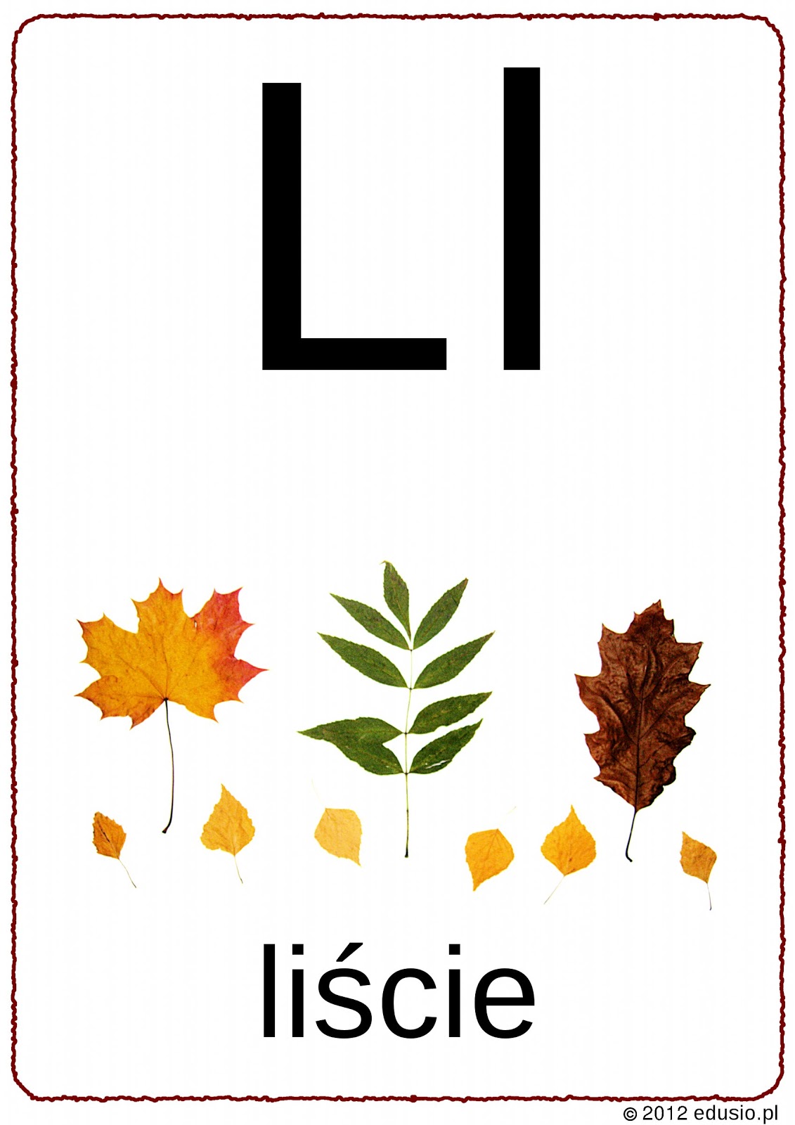 edusio - druczki do nauczki: Litera L