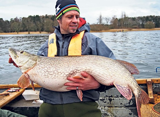 International Fishing News: UK: huge 40 lb pike caught and released