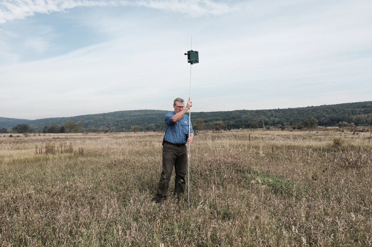 Wildlife Technician: Wildlife Technician