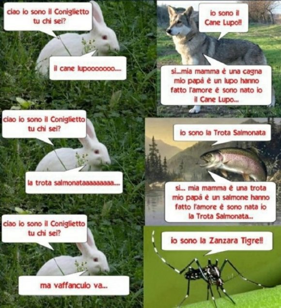 Italienisch-Italiano :Enjoy practing your italian: barzellette ...