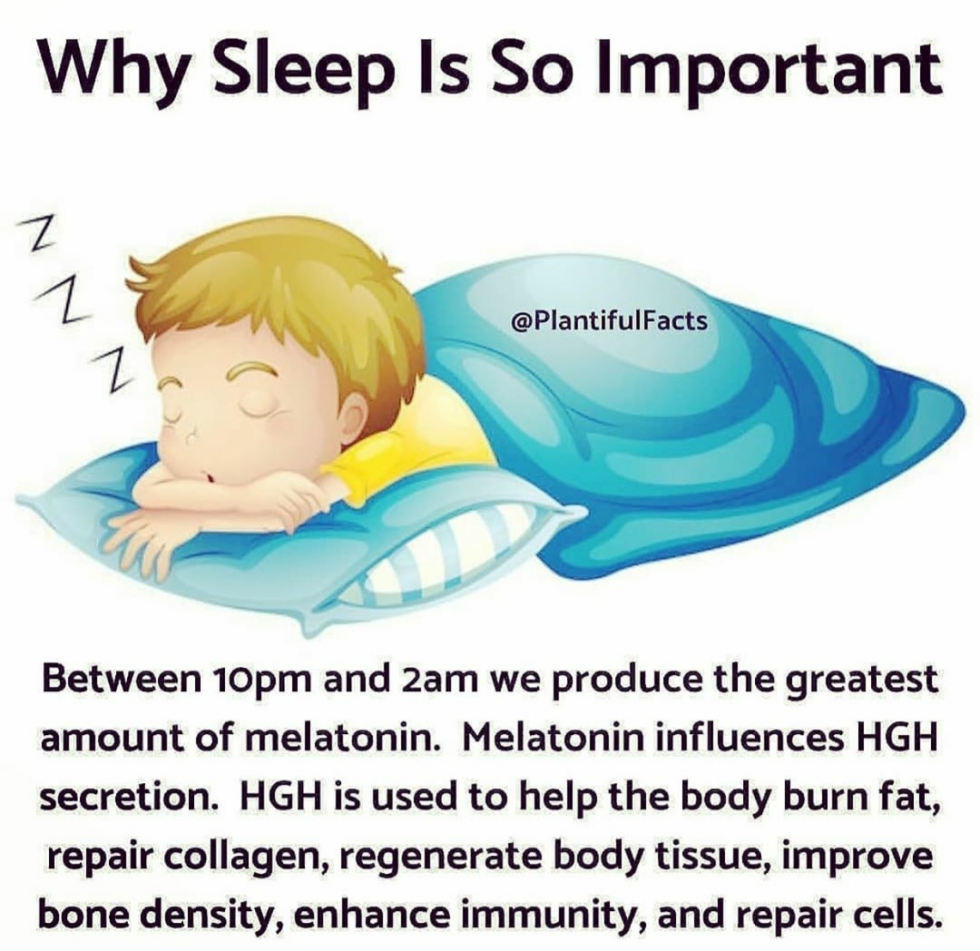 K Karthik Raja s Knowledge Library Why Sleep Is So Important k-karthik-raja-s-knowledge-library-why-sleep-is-so-important