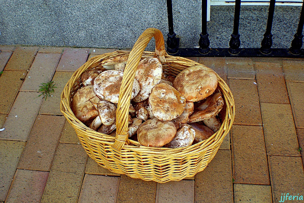 Aquí se dice así: GURUMELO