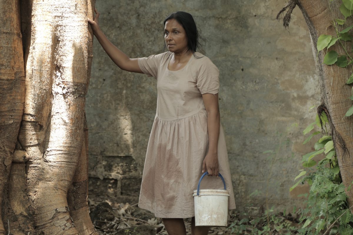 කොළඹ ගමයා : දැවෙන විහඟුන් සමග දැවුනෙමි