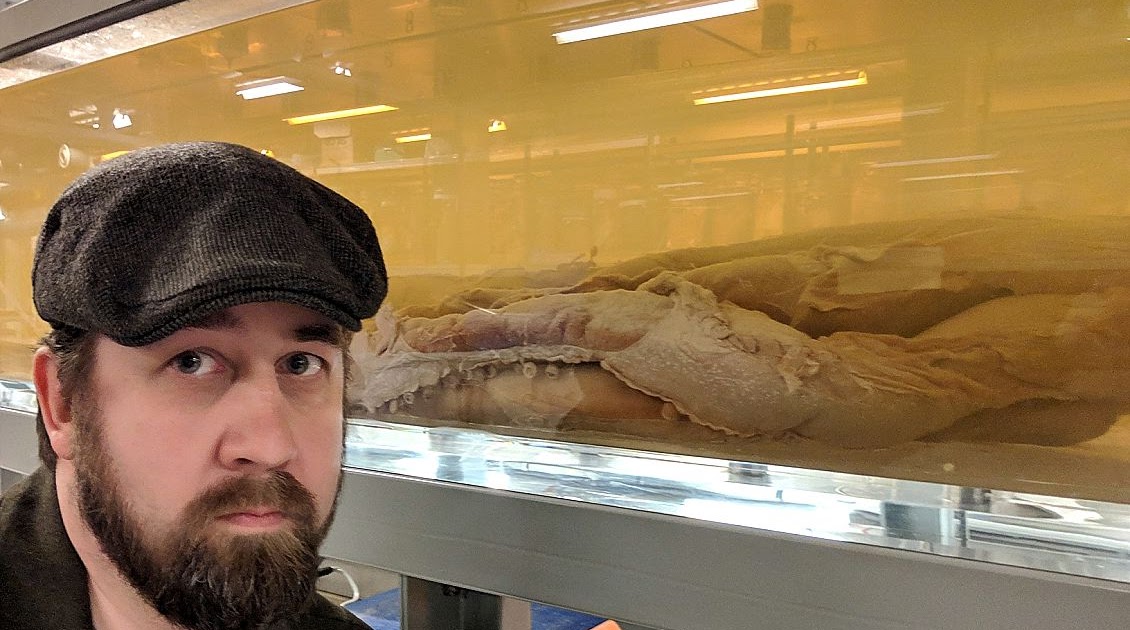 OTIS (Odd Things I've Seen): Titans of Biology: Archie the Giant Squid ...