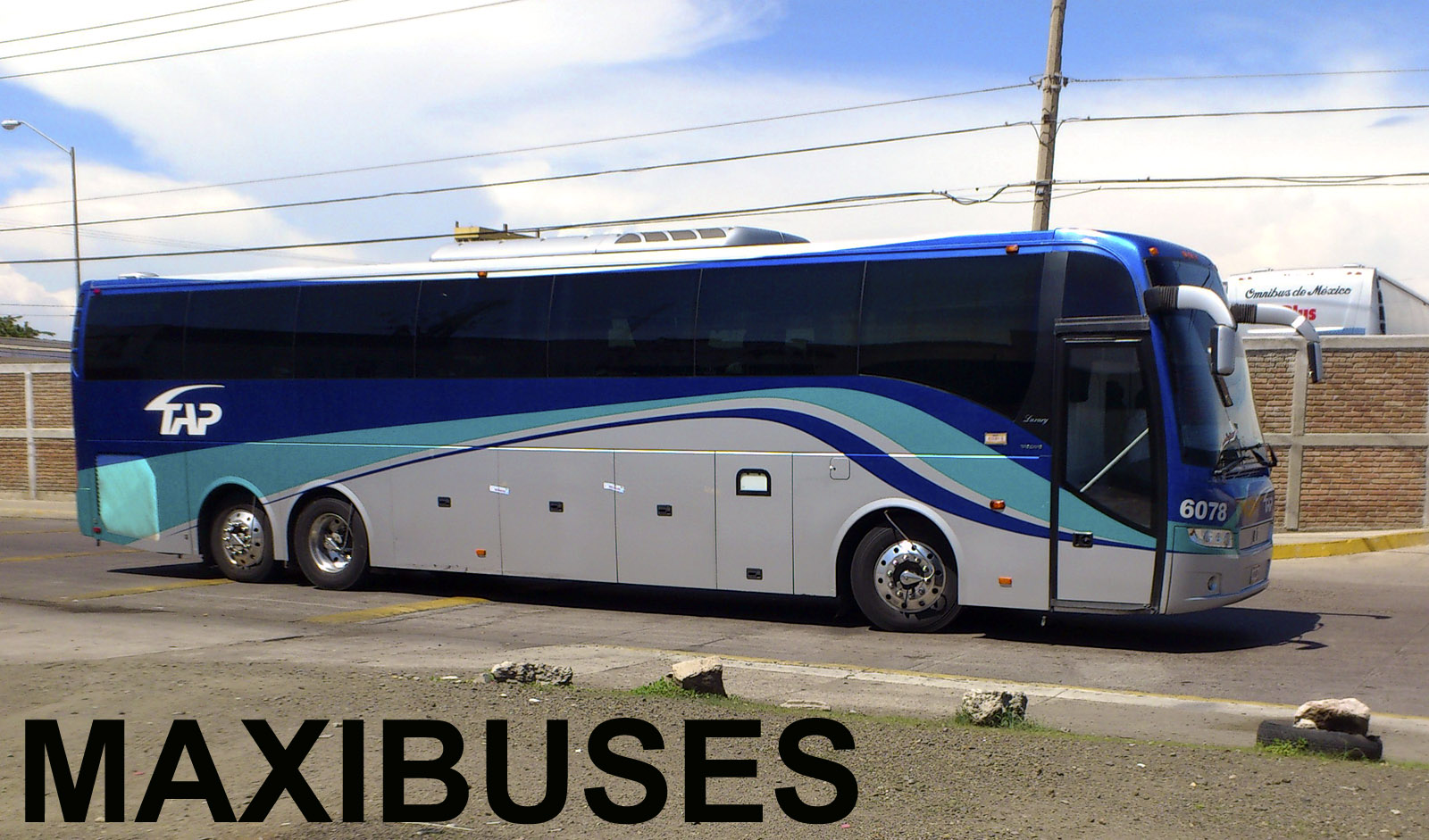 MAXIBUSES: TRANSPORTES Y AUTOBUSES DEL PACÍFICO (TAP)