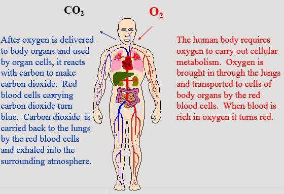 Happy Accident: Hazards Related to Confined Space