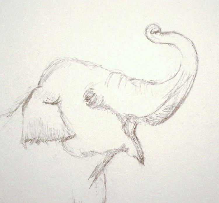 Simple Pencil Drawings Of Elephants - pencildrawing2019