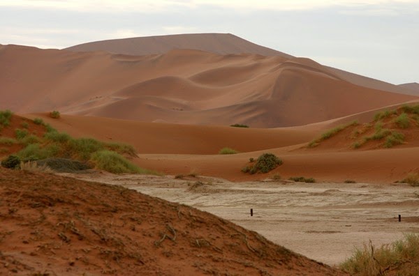 Die Woestynkinders: Die Namib Woestyn