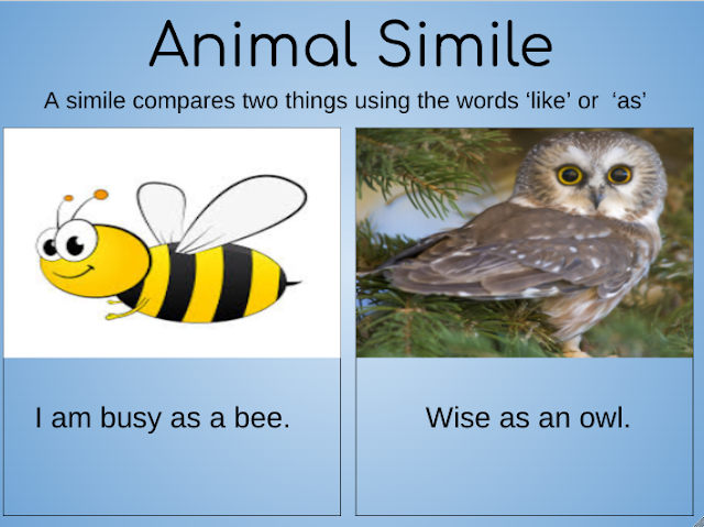 Alexxa @ Panmure Bridge School: Animal Similes