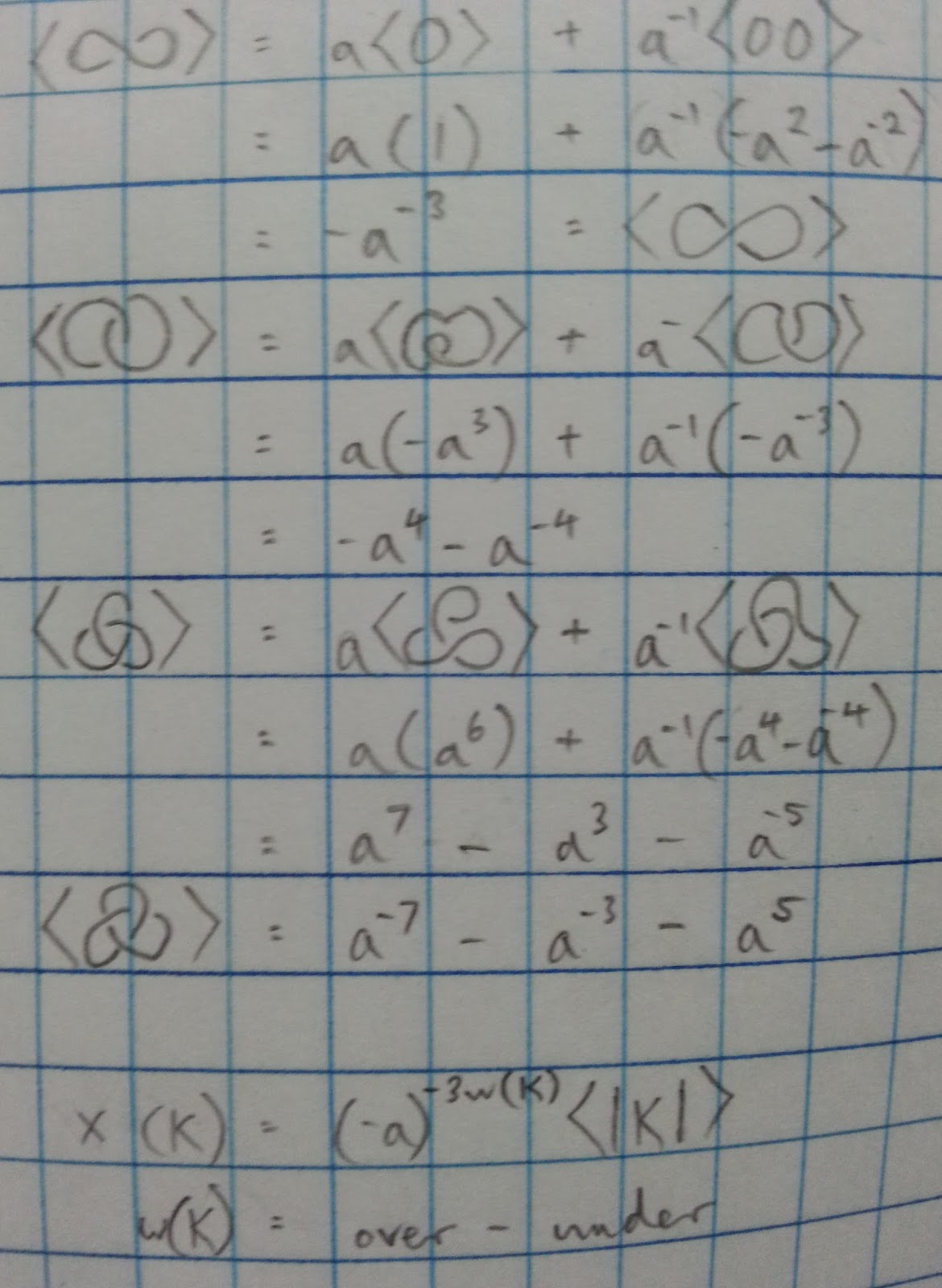 TheBlueGiraffeOught to TellSomeoneMaybe: Knot Theory and Polynomials