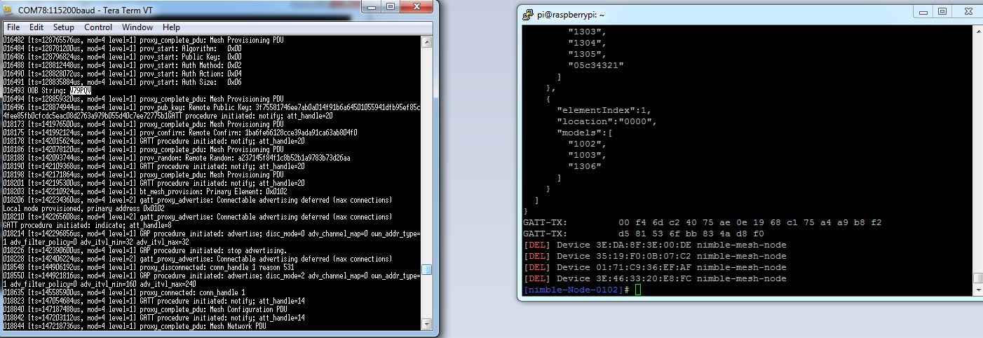 Programando Nina B112 Em Apache Mynewt Agosto 2020