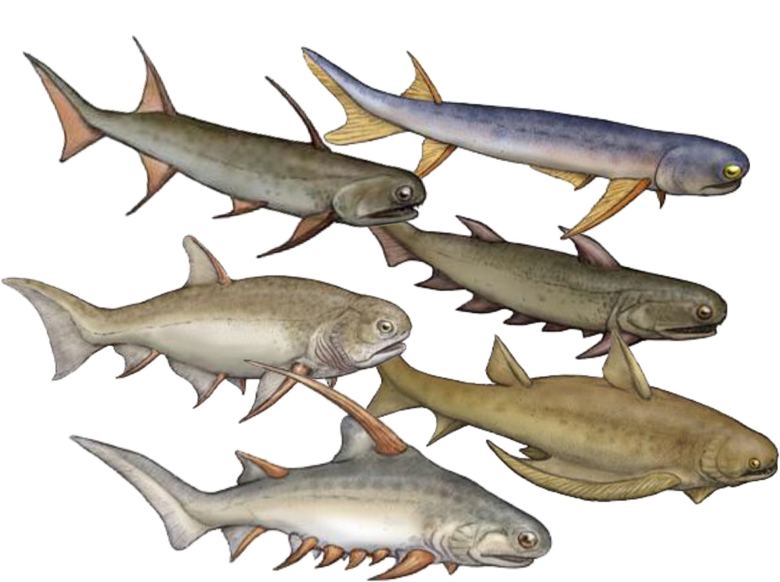 Outras Verdades Inconvenientes