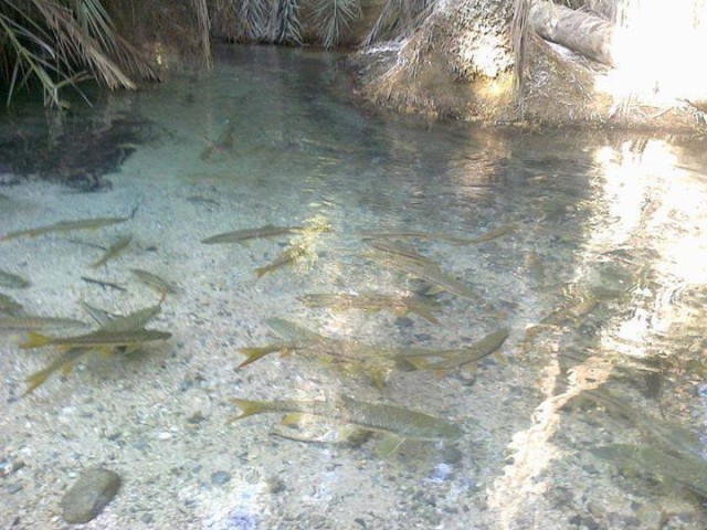 Magsi Around the World: Jhal Magsi, Balochistan – 2 Shades Of ...