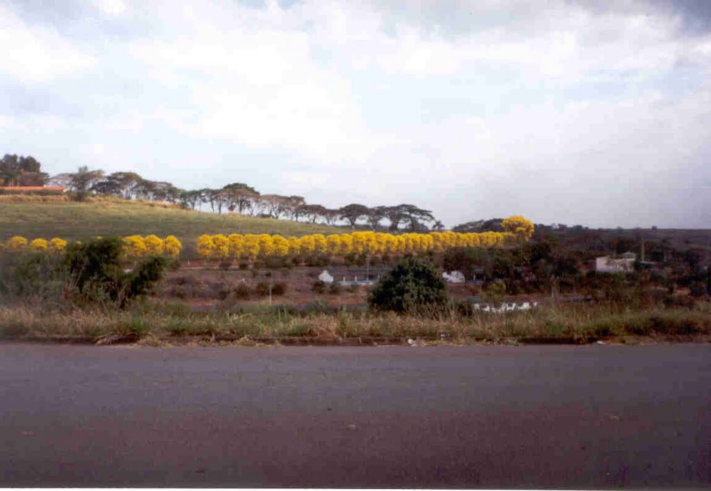TURISTANDO PELO MUNDO: Machado, Minas Gerais - A festa de São Benedito ...